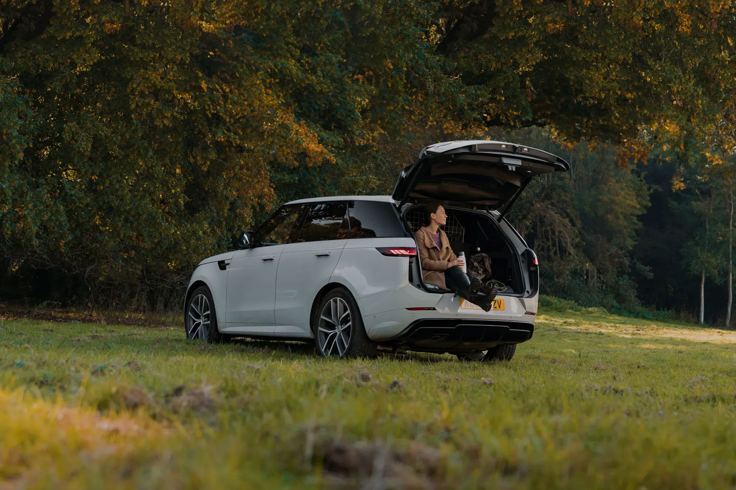 THE OUT - b motors ltd